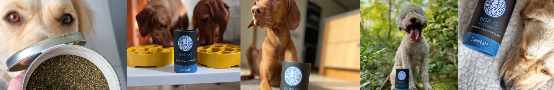 Borvo Nutrient Blends – Seaweed For Dogs