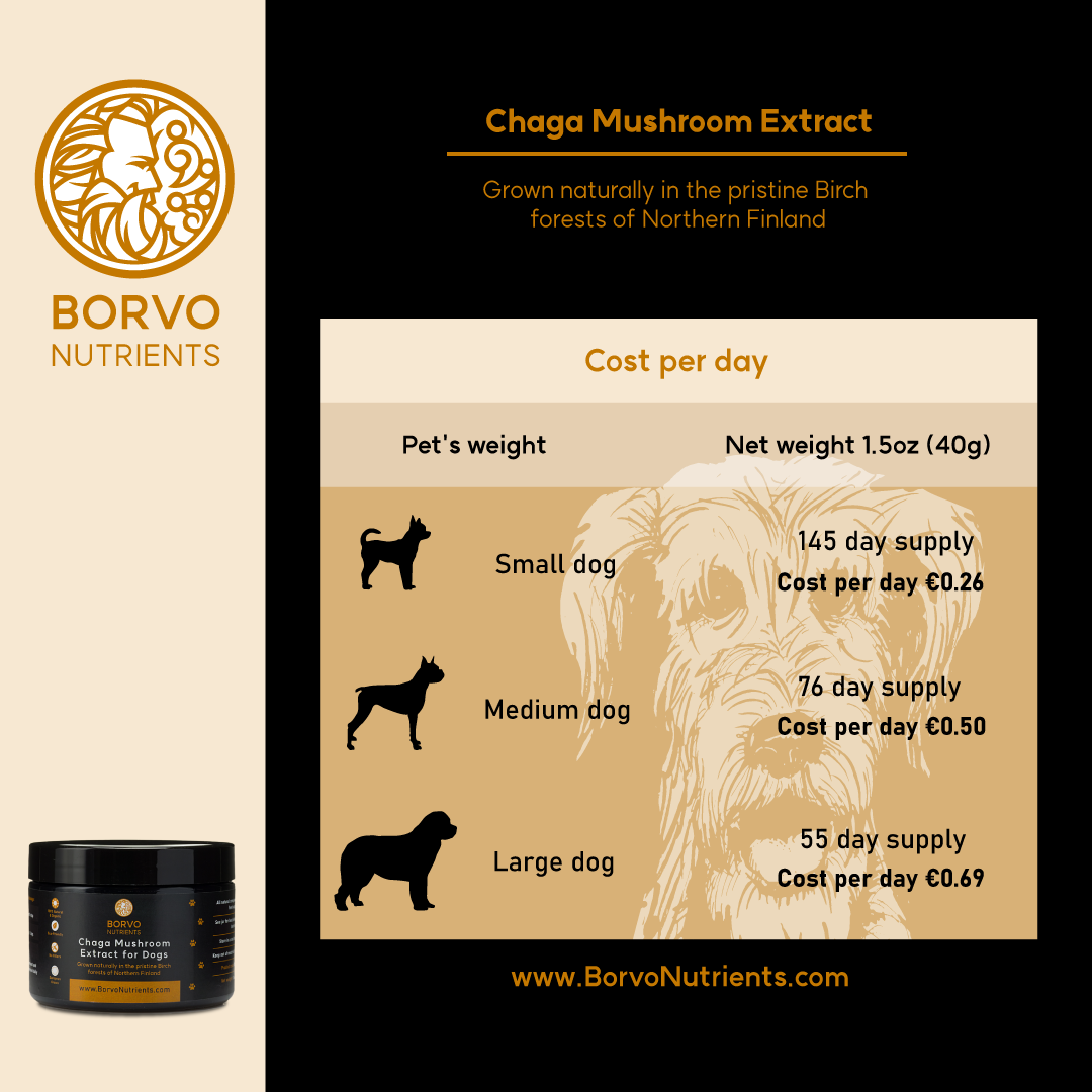 Chaga for Dogs - Borvo Nutrients European Chaga Mushroom Extract