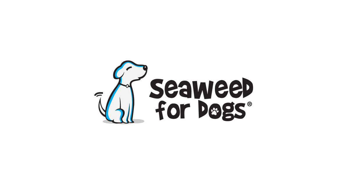 Dog Dental Emergencies: What Every Owner Should Know – Seaweed For Dogs