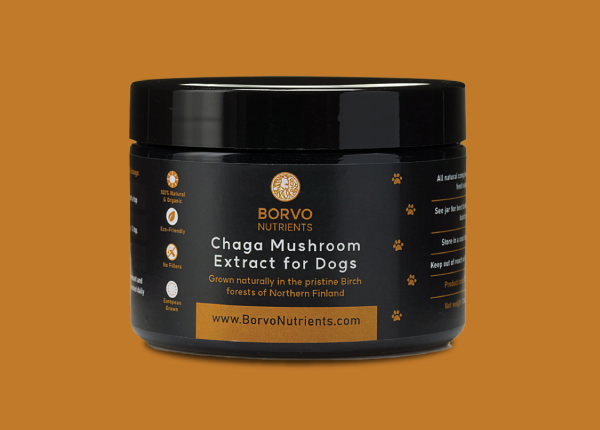 Chaga for Dogs - Borvo Nutrients European Chaga Mushroom Extract