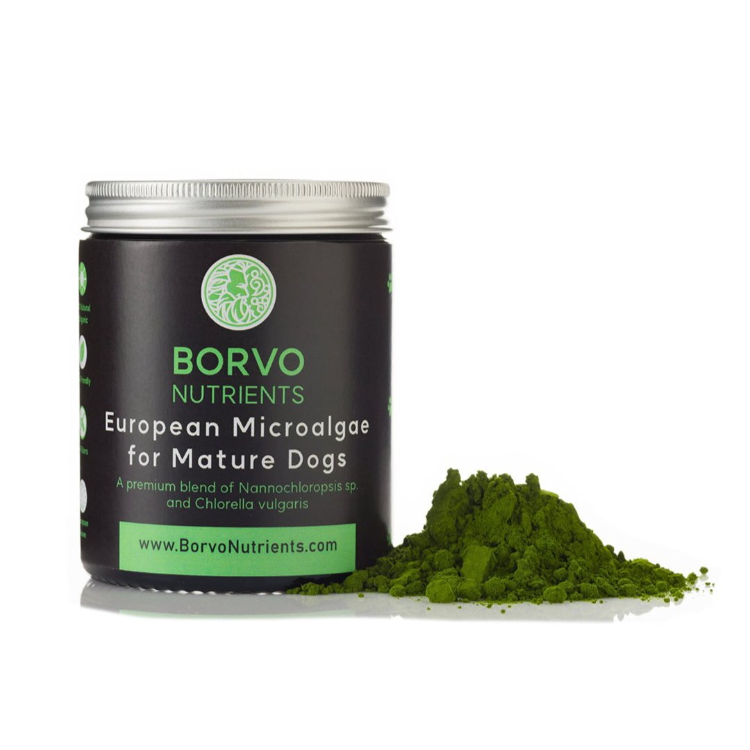 Chlorella For Dogs - Borvo Nutrients Microalgae Blend for Mature Dogs