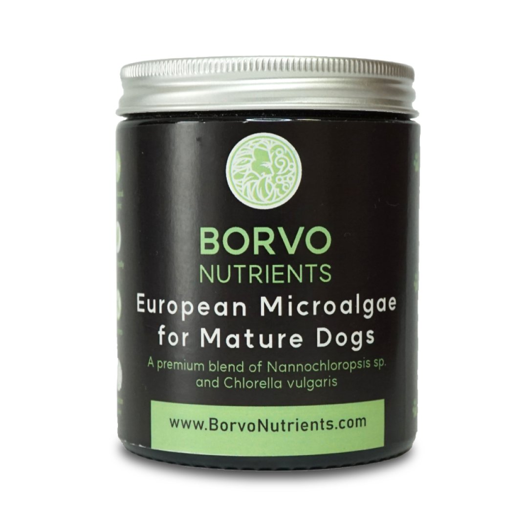 Chlorella For Dogs - Borvo Nutrients Microalgae Blend for Mature Dogs