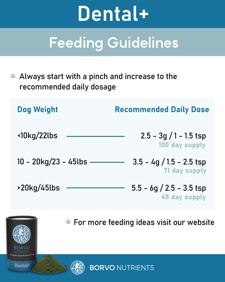 Dental + | Brown seaweed and microalgae extract for dog dental health