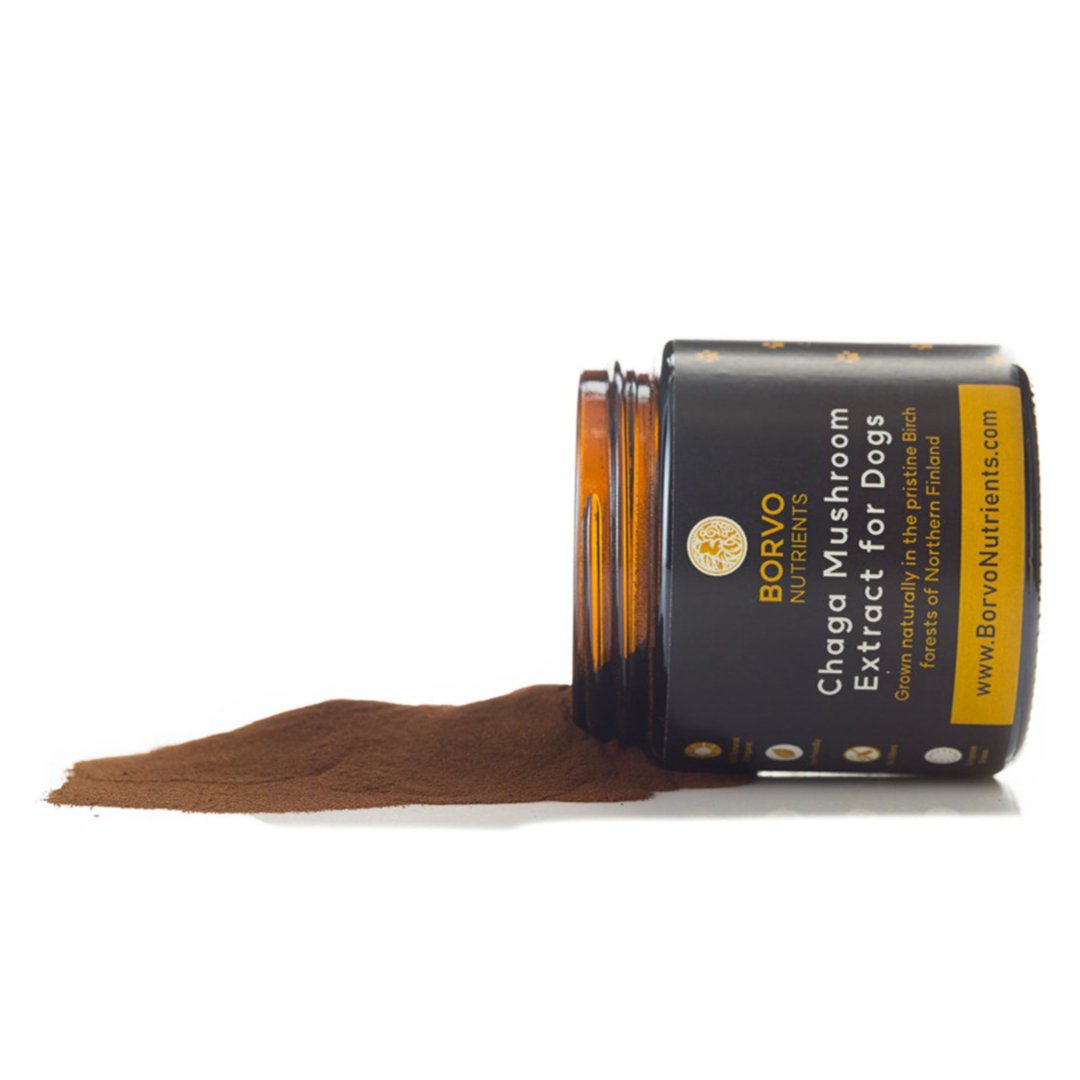Chaga for Dogs - Borvo Nutrients European Chaga Mushroom Extract