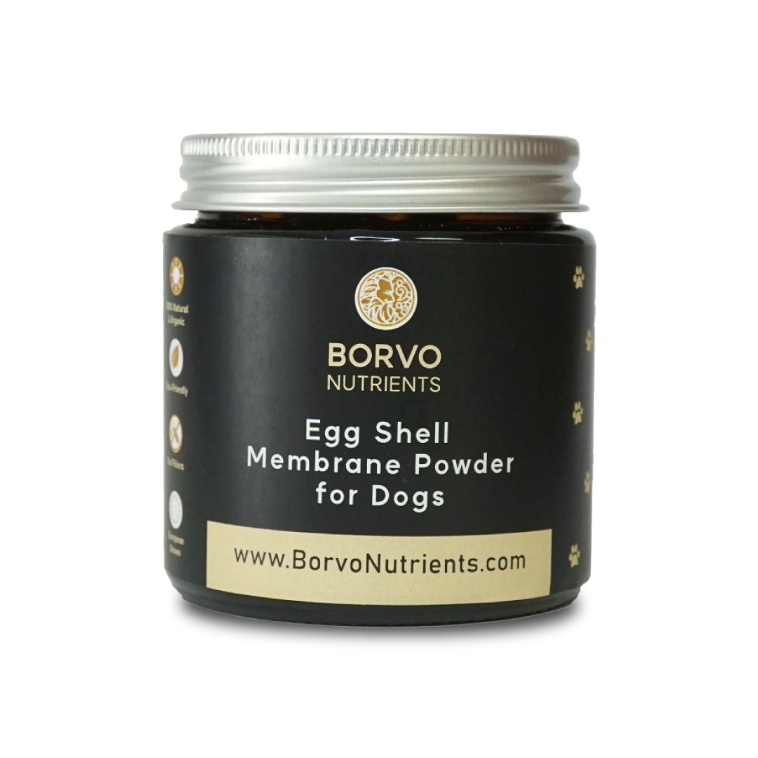 Natural Eggshell Membrane for Dogs | Borvo Nutrients