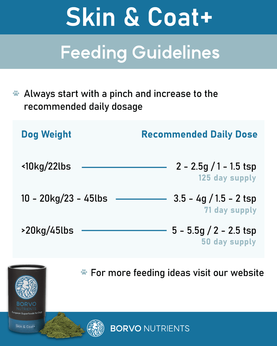 Skin & Coat + | Improve your dogs skin and coat condition