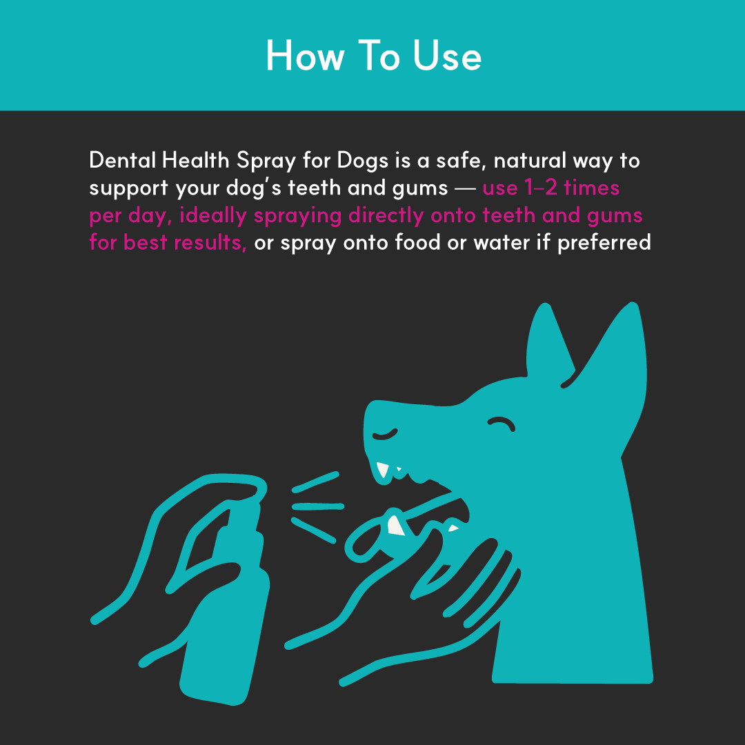 Dog Dental Spray for Plaque & Bad Breath | Borvo Nutrients – Seaweed ...